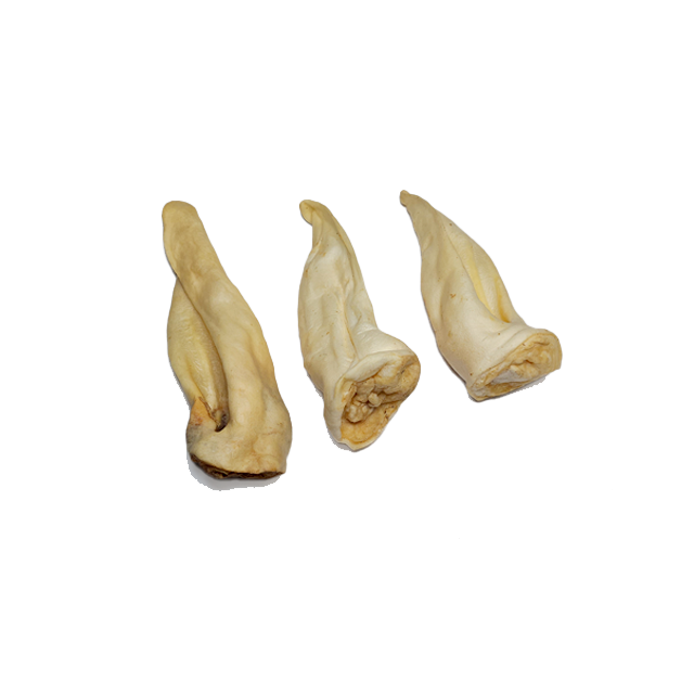 Lamb Ear – JurassicBarkUK